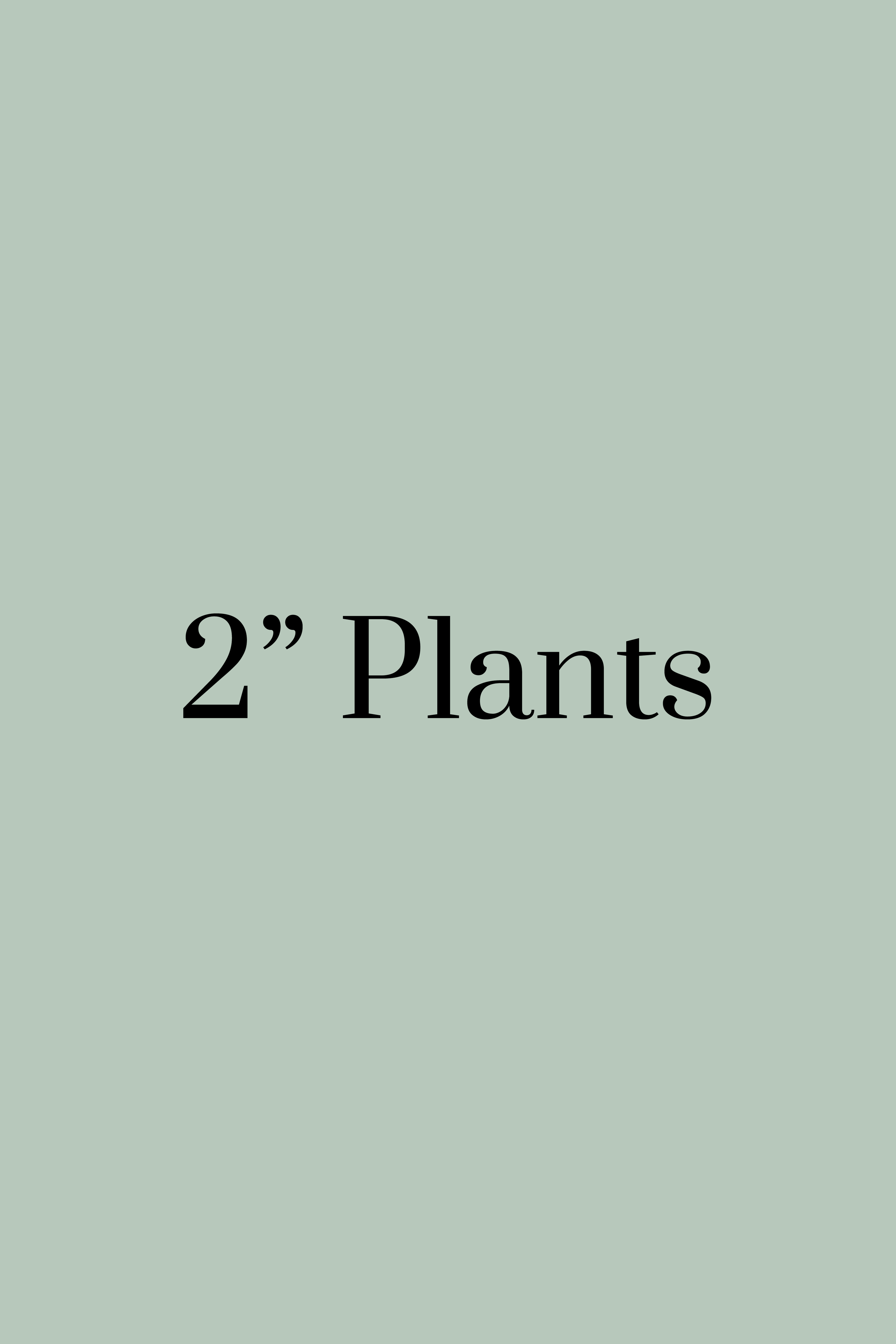 Plant Finder — The Plant Farm®