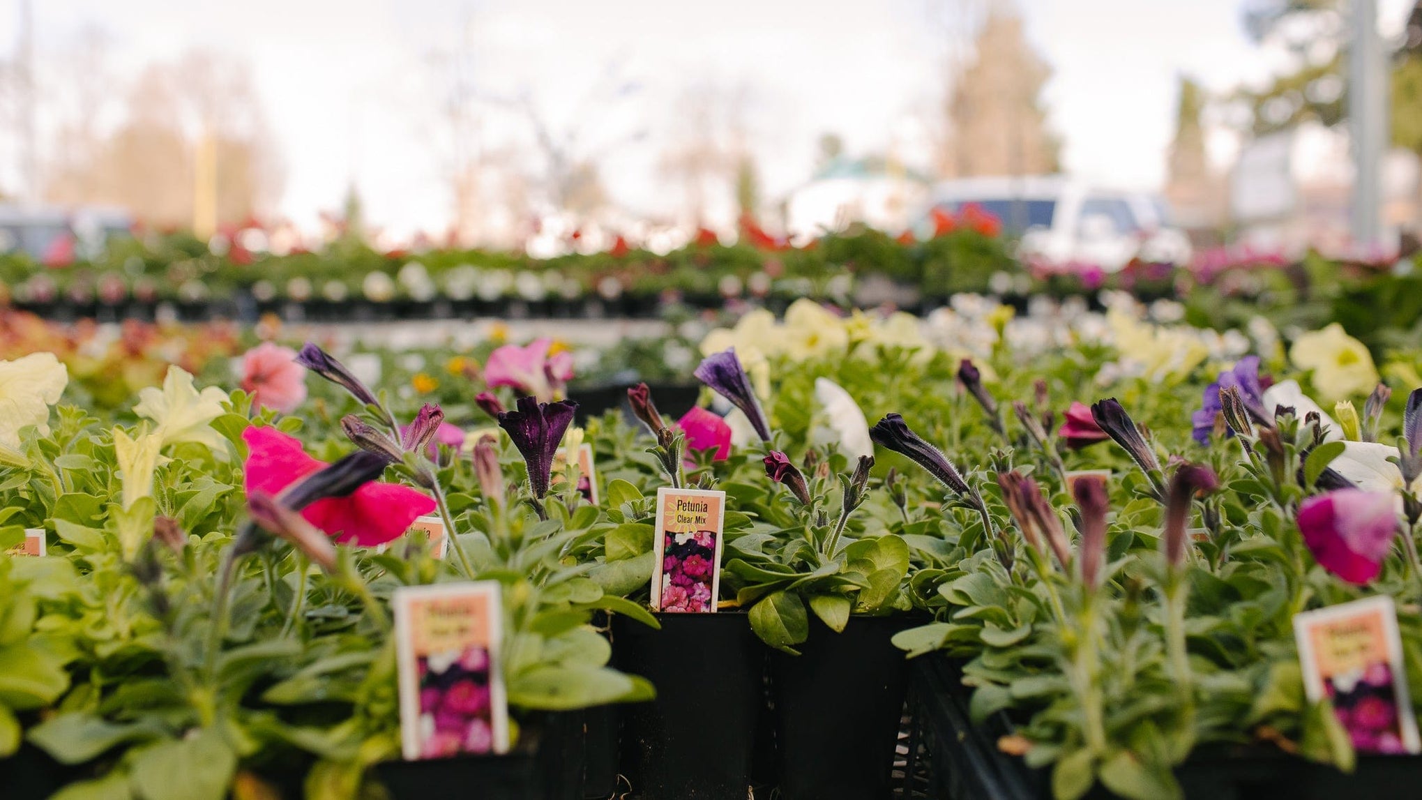 Visit The Plant Farm®