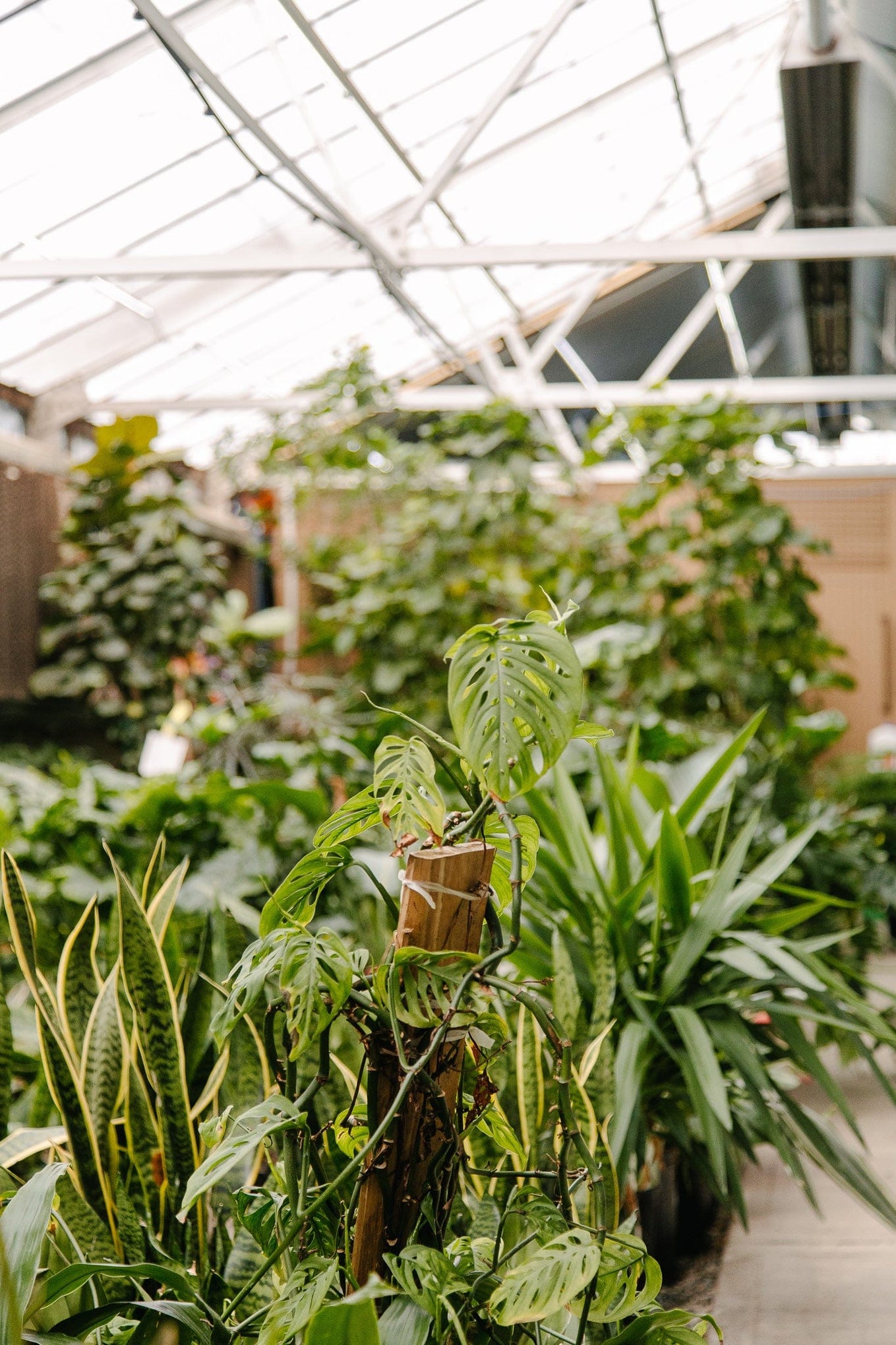 Visit The Plant Farm®