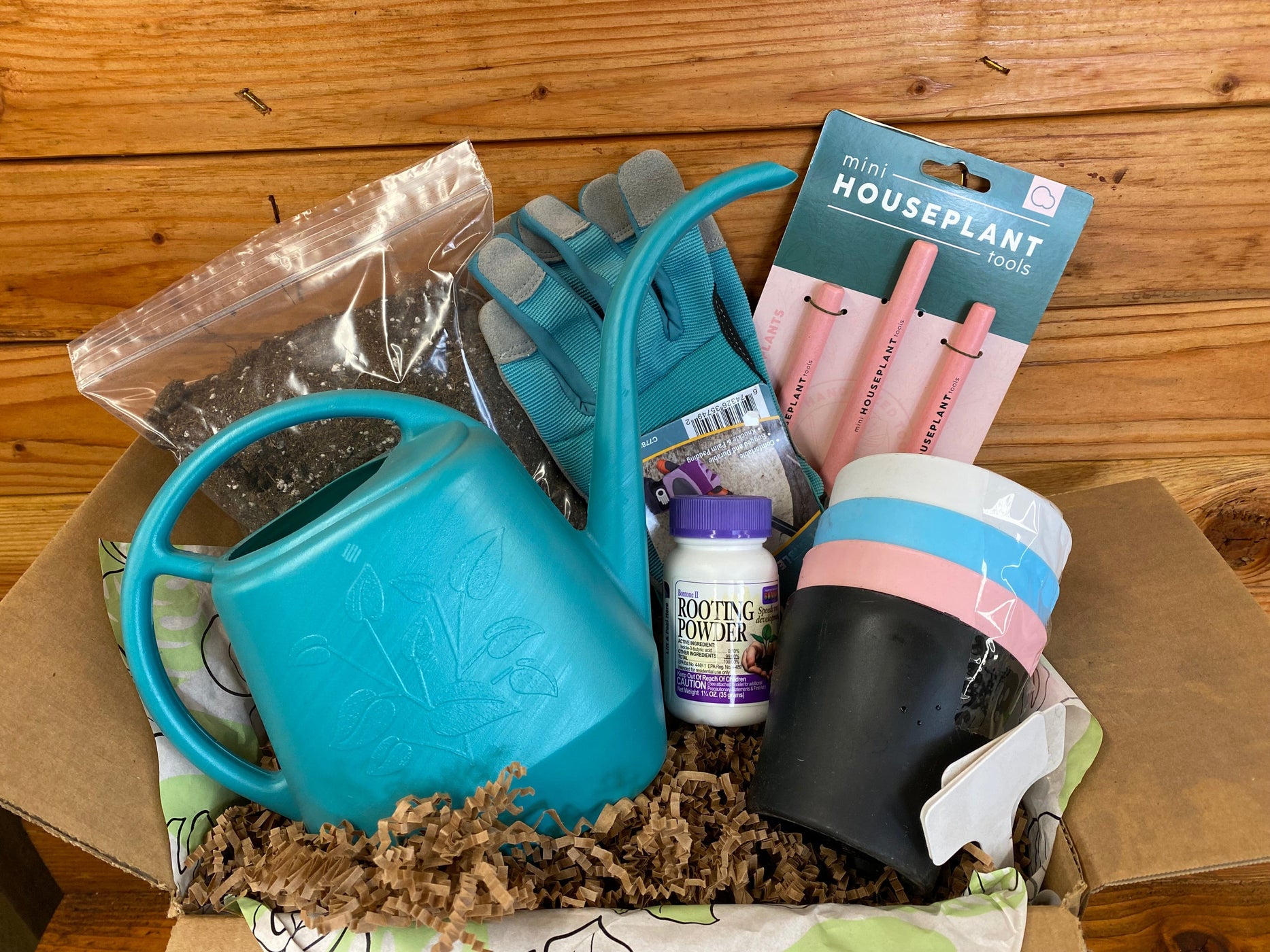 Houseplant Starter Box — The Plant Farm®